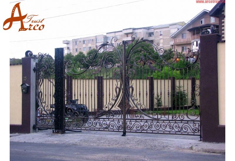 IEDERA SALBATICA LUX, Model de Porti si Garduri din Fier Forjat produs ...